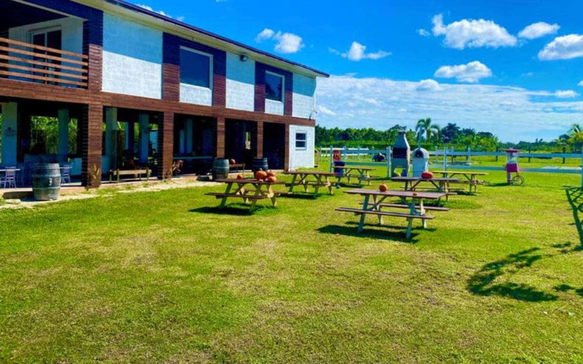 Event heaven horse experience venue in Redlands Miami🐴, Miami, FL ...