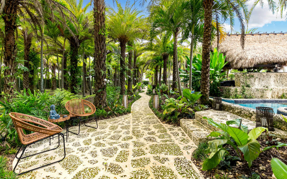 Palm Tree Grove with Natural Stone Walkway and Orchids, Miami, FL ...