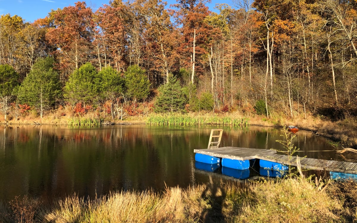 AMORanch - Arkansas, a 245 acre cattle, horse and hunting ranch with a ...