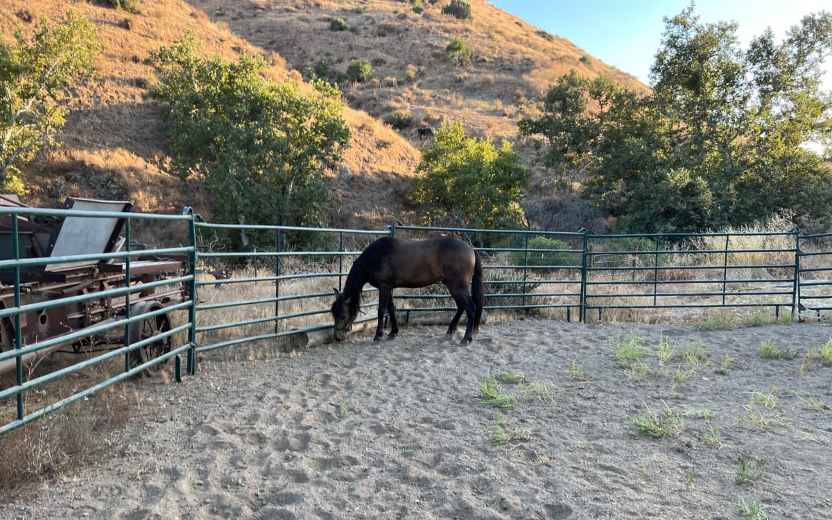 Corona Ranch with beautiful mountain views and animals, Corona, CA ...