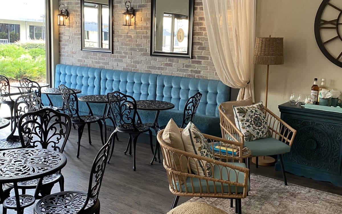 Tampa’s Classy Cat Experience, Tampa, FL | Event | Peerspace