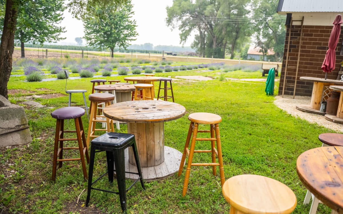 Historic Lavender Farm, Farmington, MN | Event | Peerspace