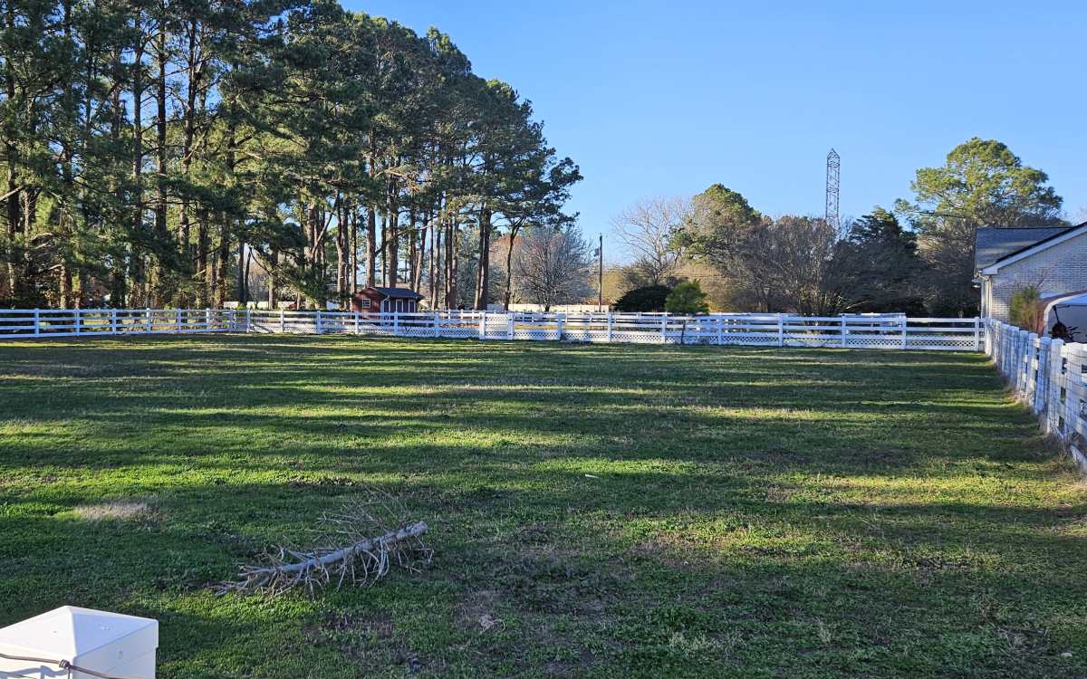 Grand Outdoor Rural Space with Farm Animals - Goats, Chickens ...
