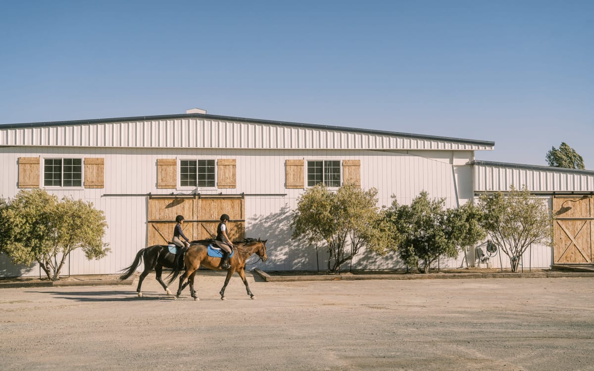 Gorgeous Equestrian Property + Rustic Ranch with Skyline Views ...