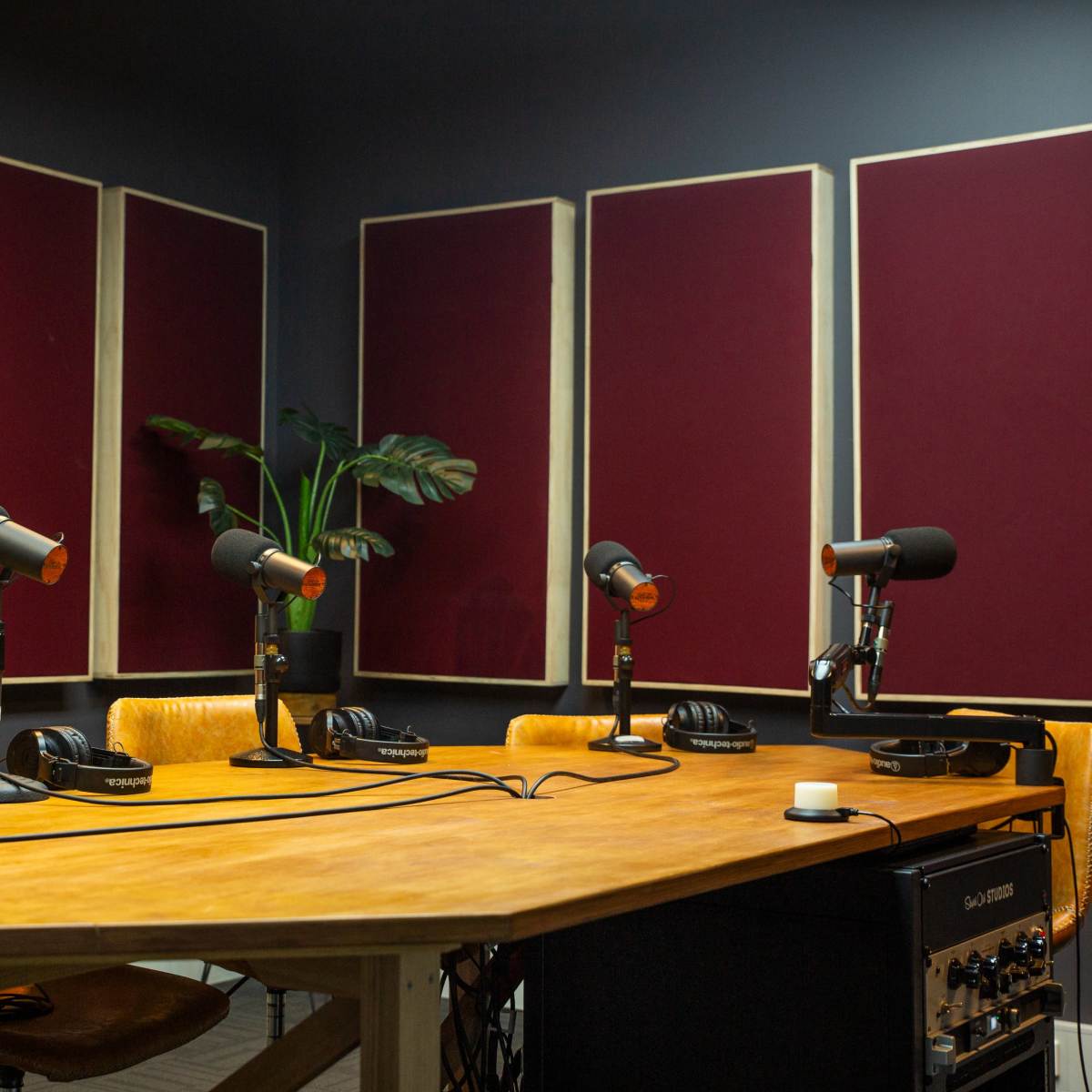 Sound Treated Podcast Studio, Brunswick | Production | Peerspace