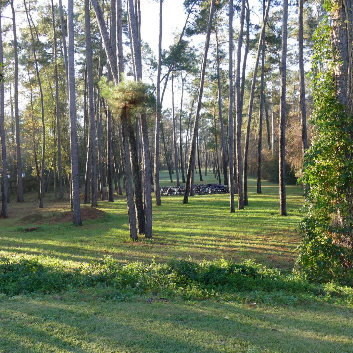 Outside Production Space - 2 Acres - Drone Photography - Videography ...