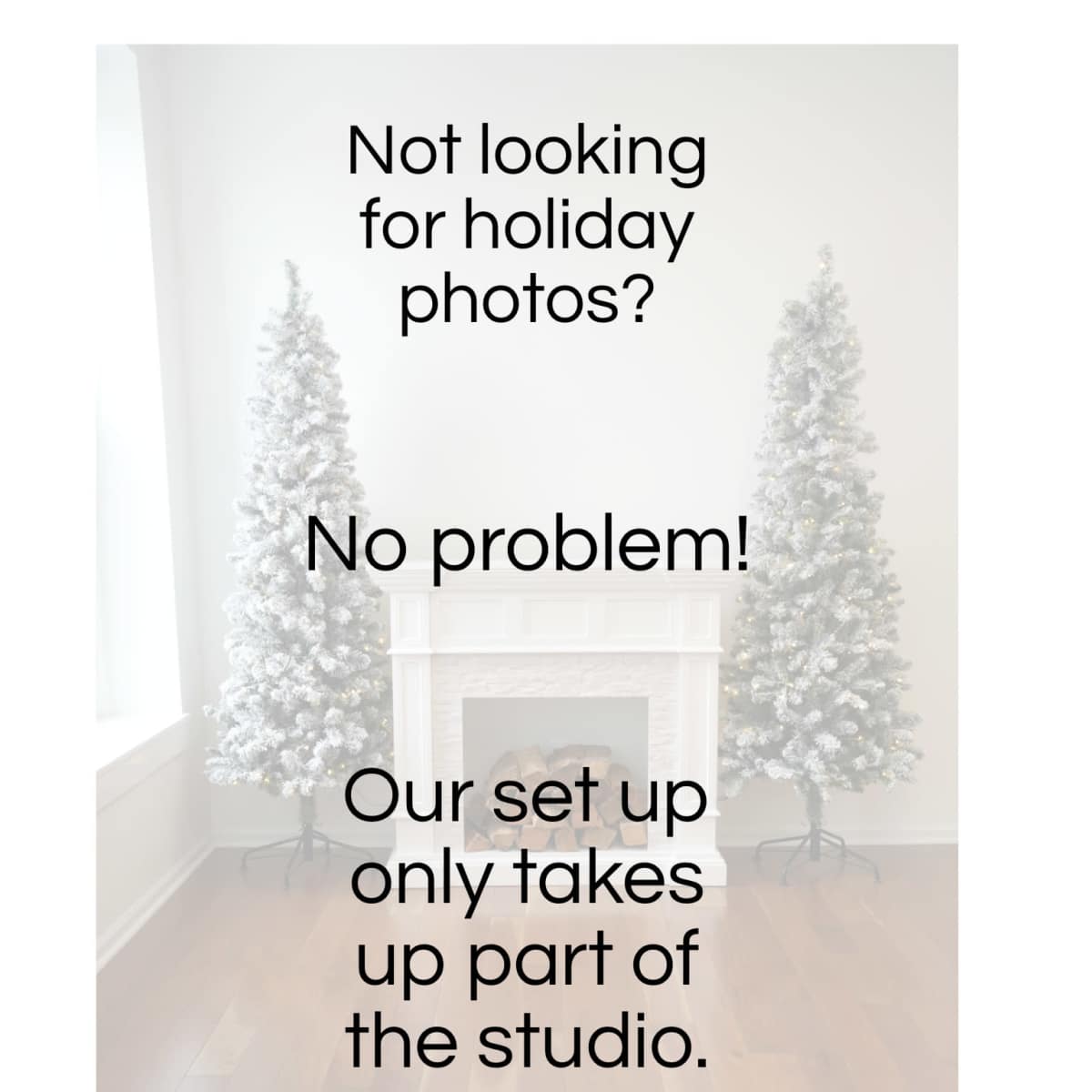 Dreamy Downtown Rochester Natural Light Studio, Rochester, MI ...