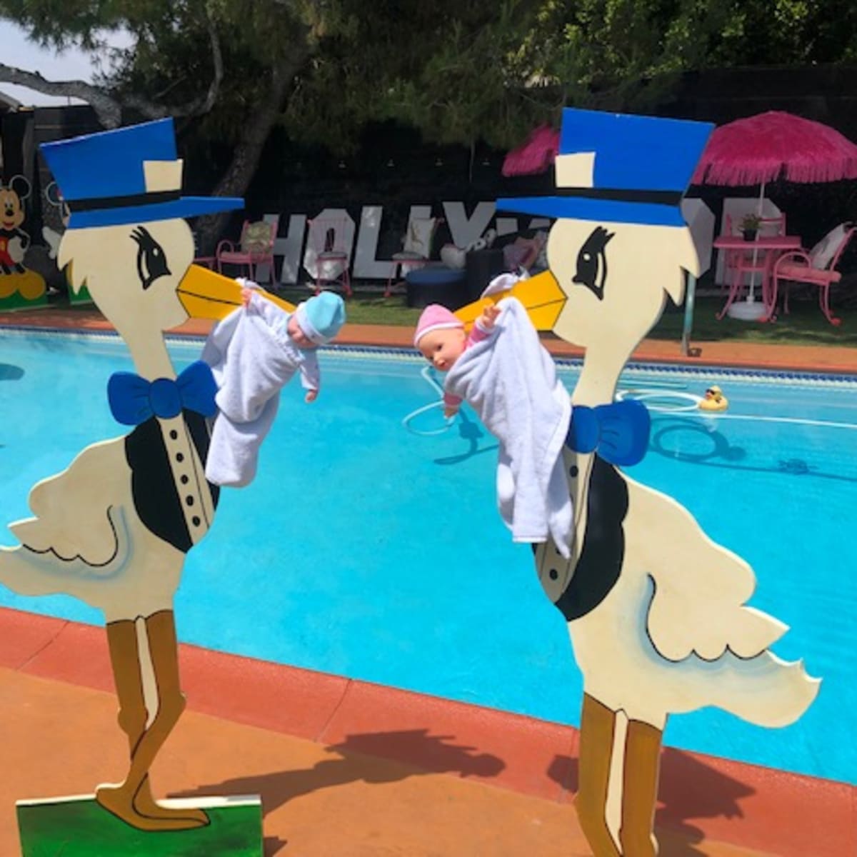 BABY REVEAL/BABY SHOWER stork PARTY, North Hollywood, CA | Event ...