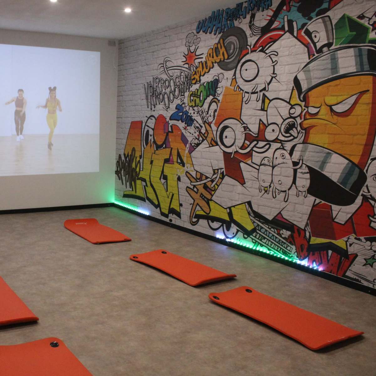 Spacious Fitness Room includes with Amazing Mural and a Projector ...