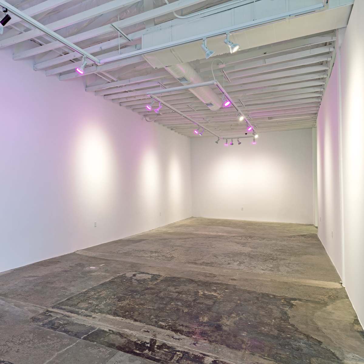 Premium White Box Architectural Montrose Flex Event Space / Gallery B ...