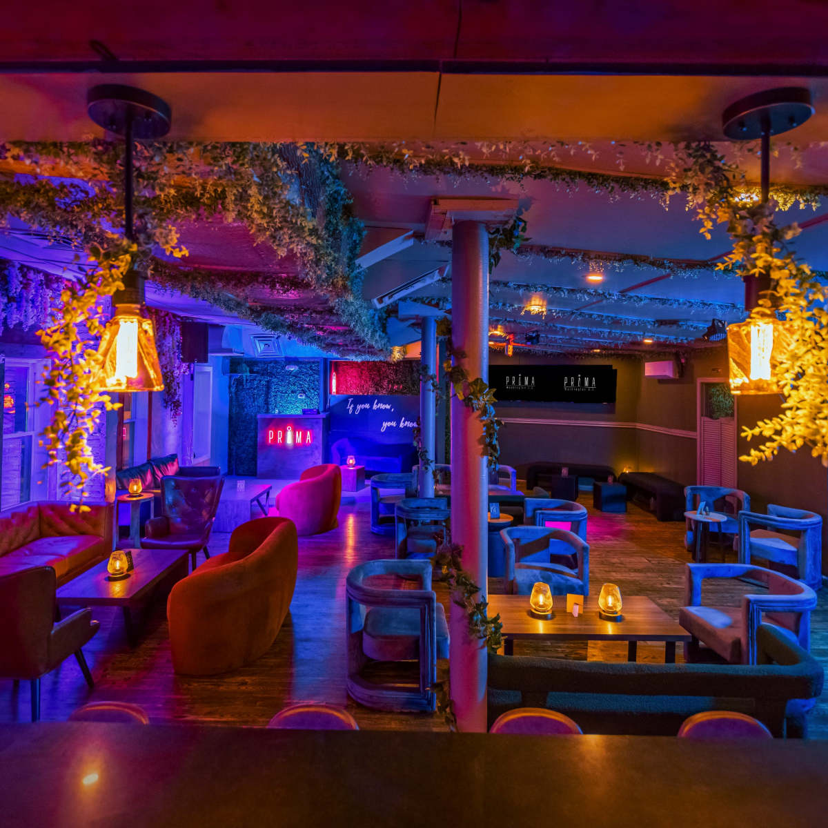 Prima DC | Chic bar and lounge located in the heart of DC's nightlife ...