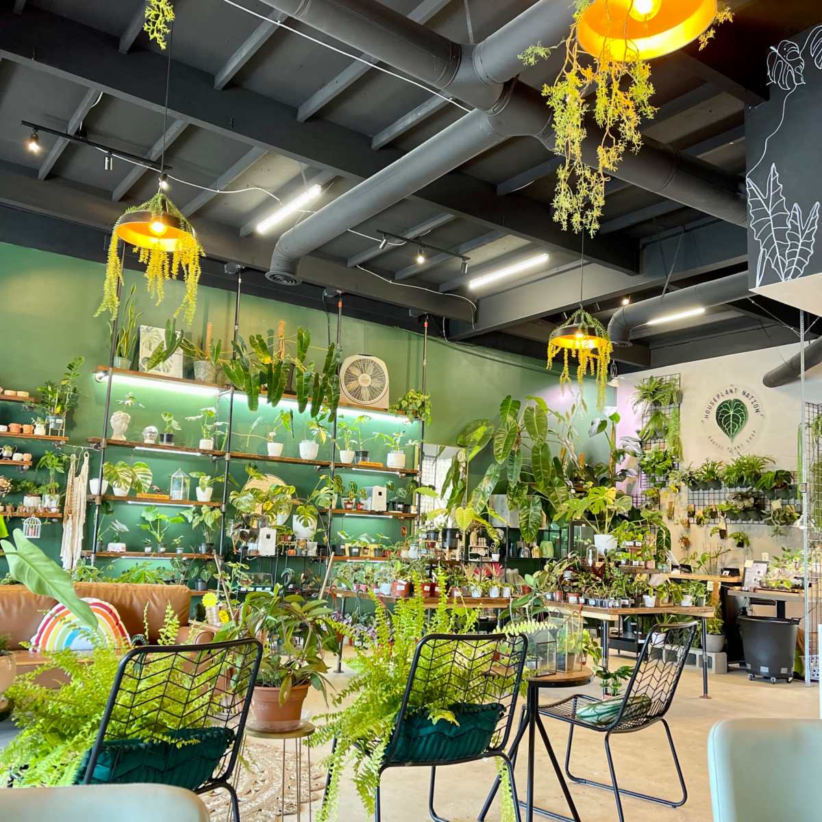 Urban Tropical Jungle Plant & Coffee Shop, Huntington Beach, CA | Off ...