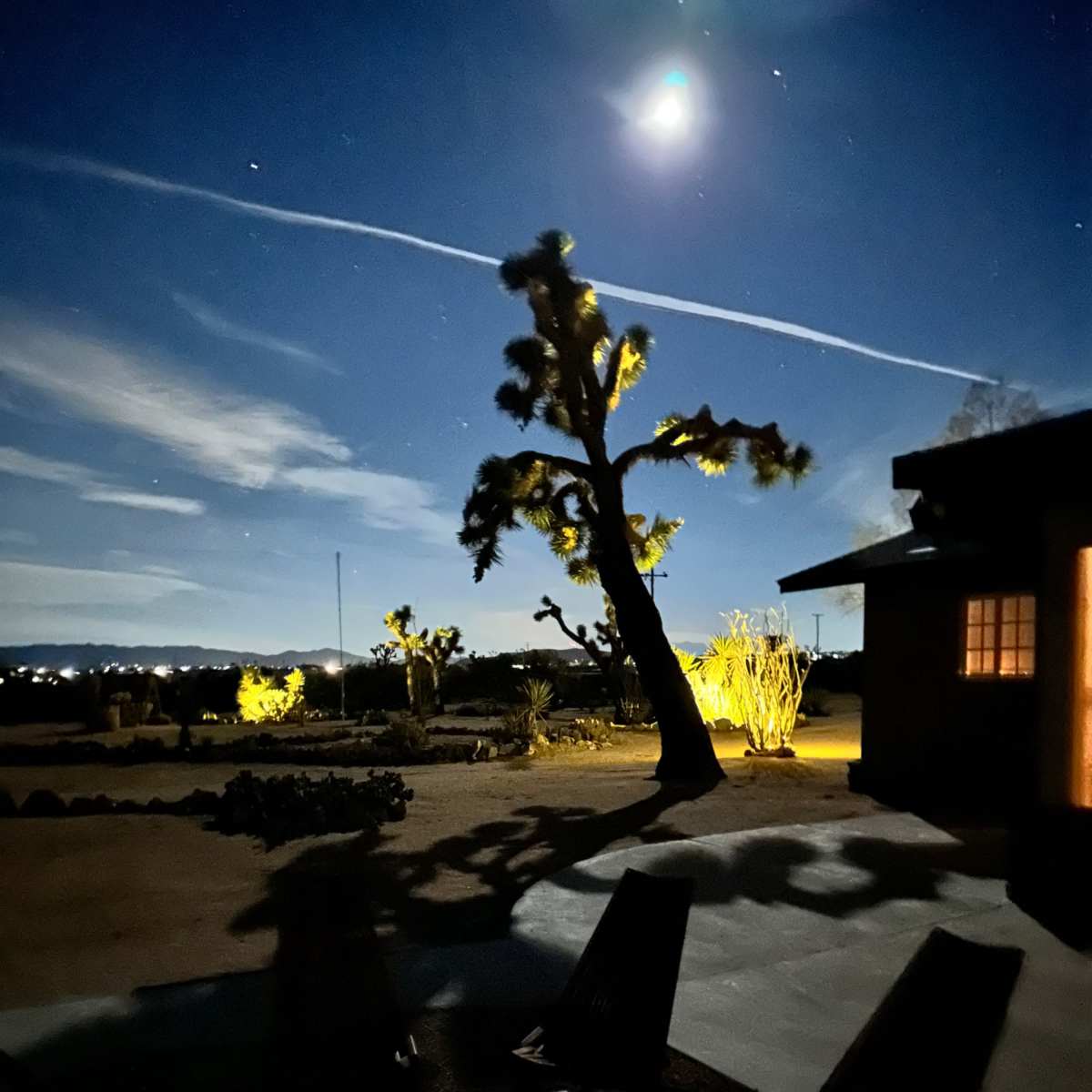 Joshua Tree 2.5 Acre Boho home, Joshua Tree, CA | Production | Peerspace