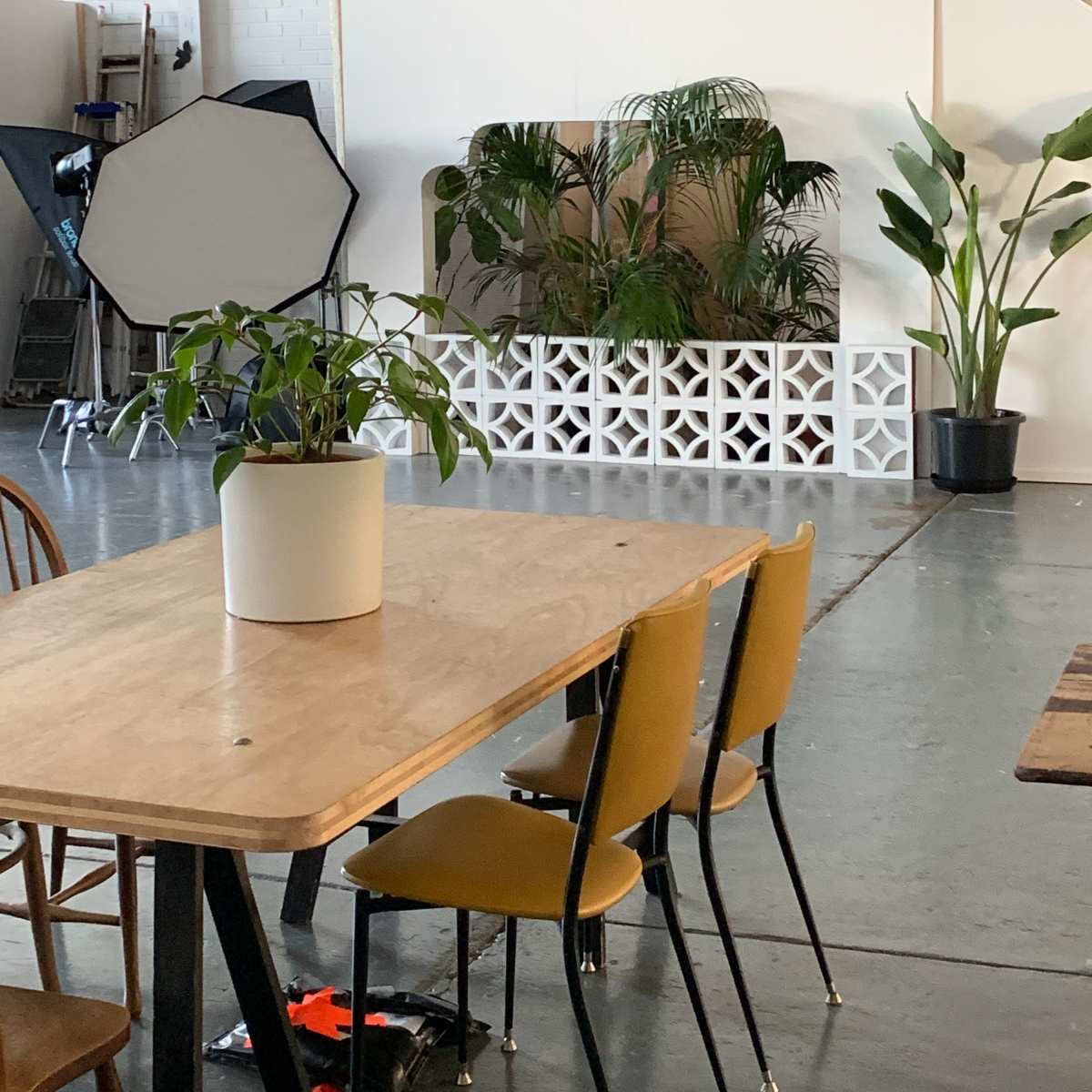 Lampoluce Photography | 1960's Warehouse Creative Studio in Moorabbin ...