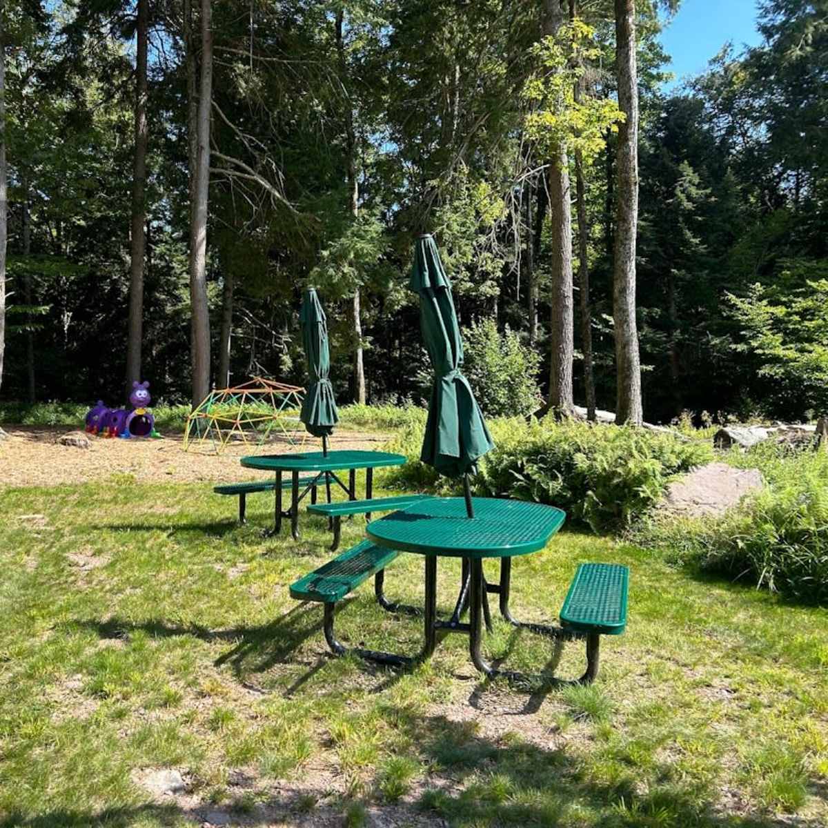 Rural wood area with privacy, recreation space and unique landscape ...