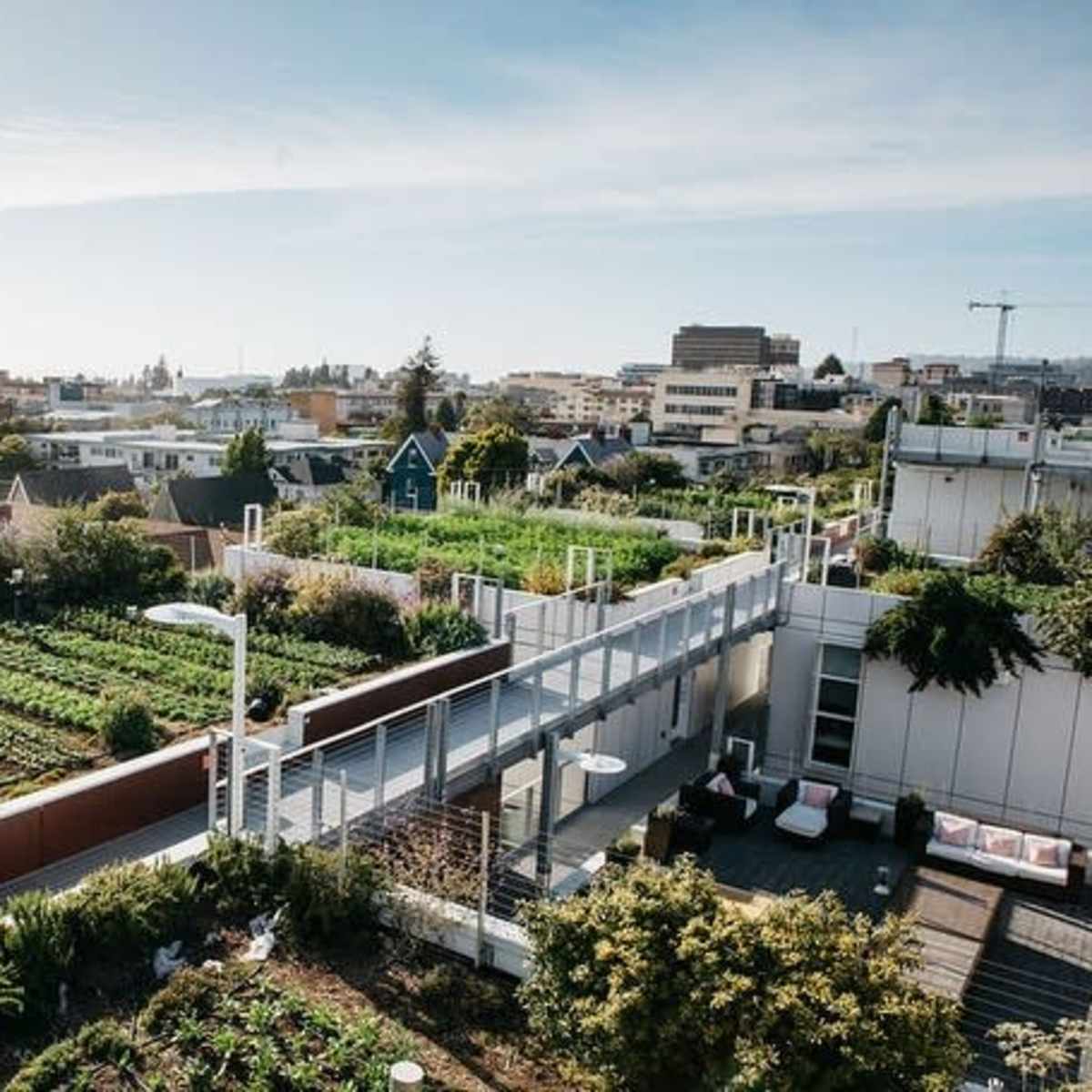Rooftop Farm in the heart of Berkeley, Berkeley, CA | Event | Peerspace