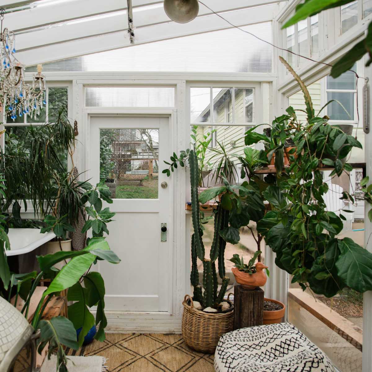 Photo Studio Tropical Greenhouse with Bathtub and Large Backyard ...