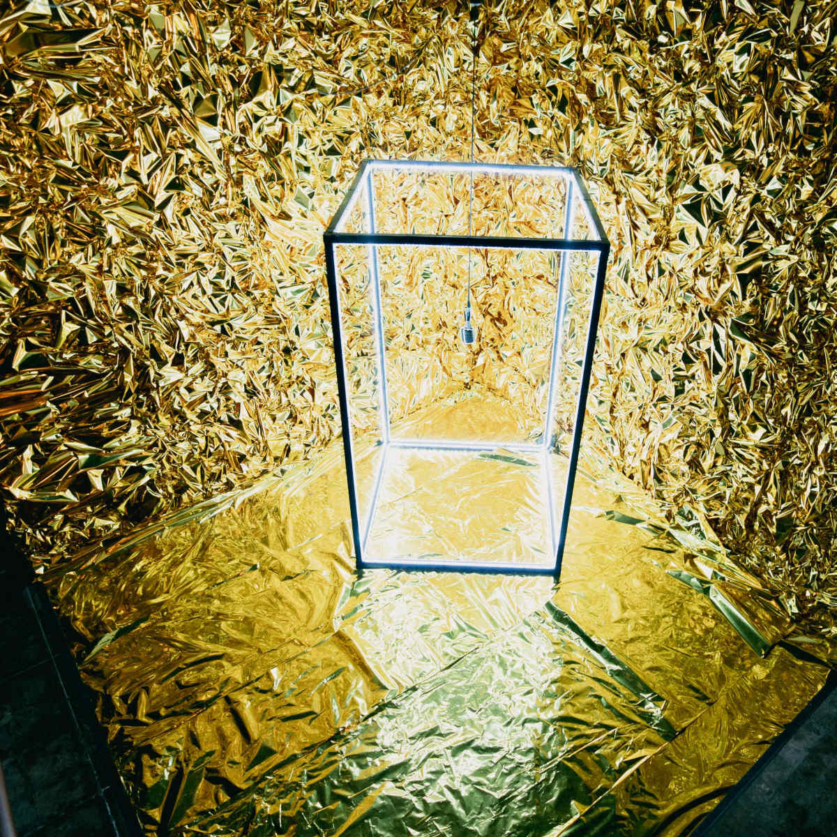 Golden Impala recording studio | Vibrant Color-Changeable Video ...