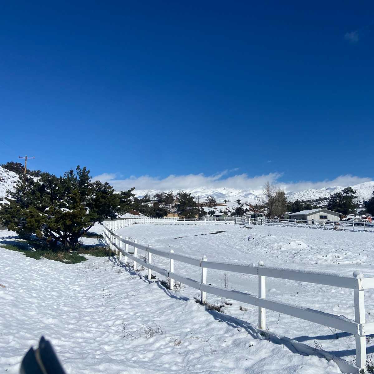 High Desert Arabians, Acton, CA | Production | Peerspace