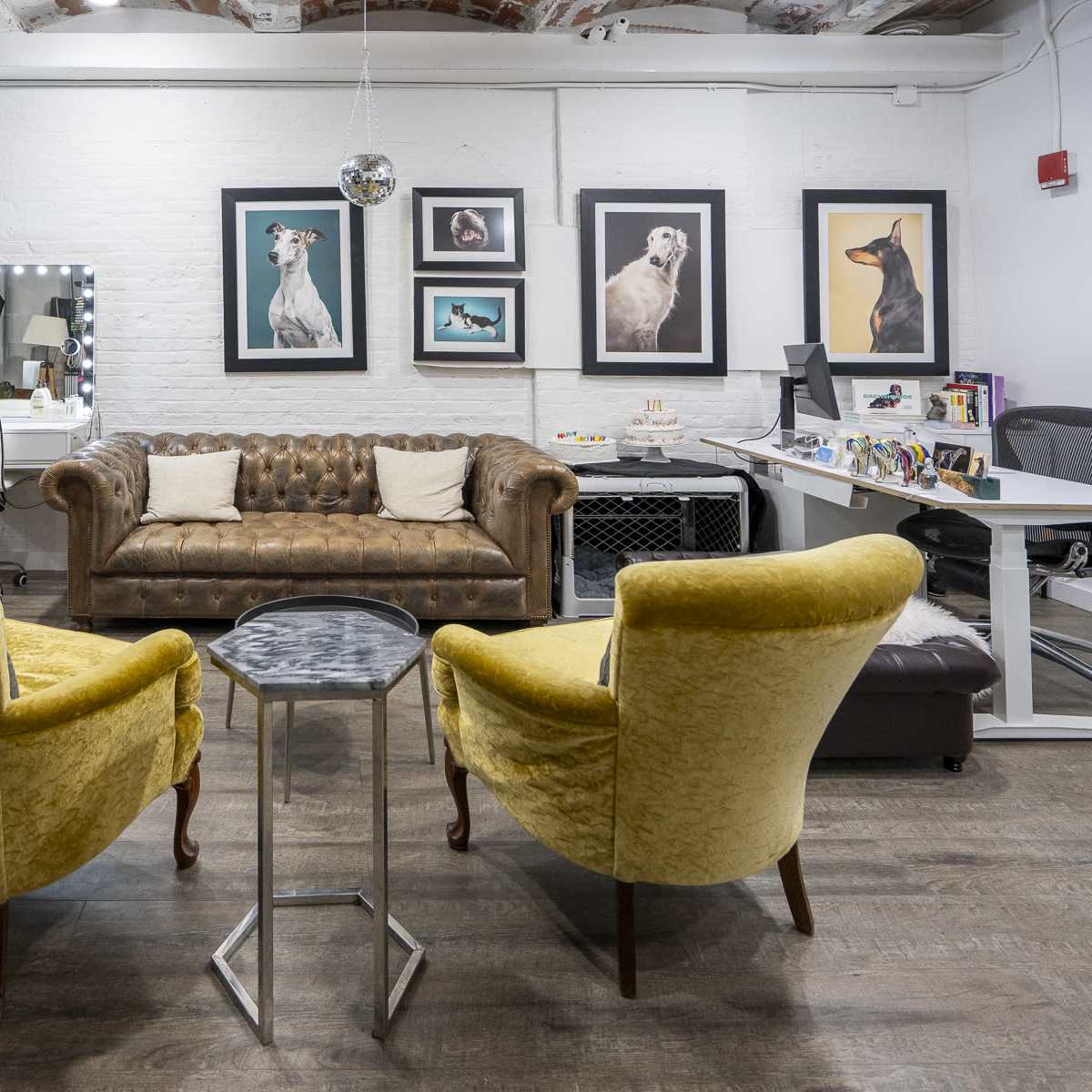 PROFOTO Studio with TETHER Station and TONS OF GEAR & PROPS, Brooklyn ...