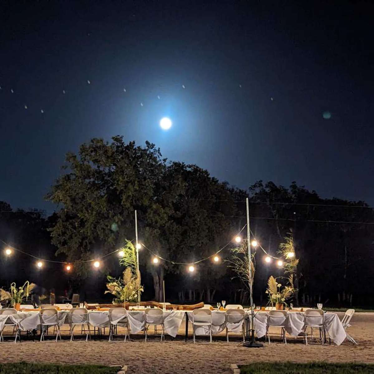 Enchanting gardens just minutes from downtown Lockhart., Lockhart, TX ...
