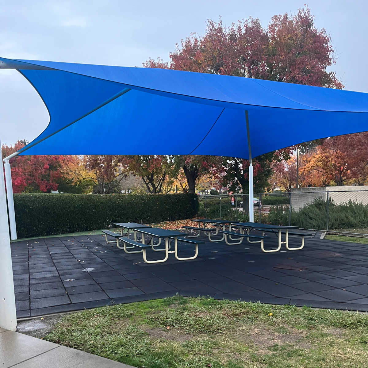 Spacious School Backyard for Family Events, Picnics, and Outdoor Fun ...