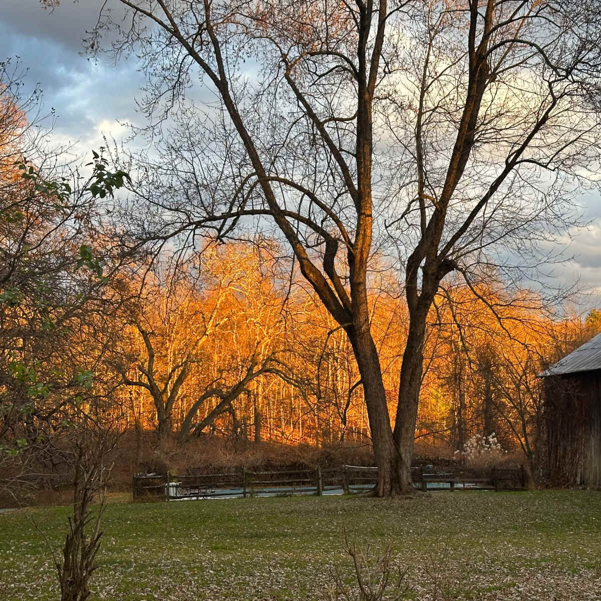 Original stone house with 60 acres of rolling hills and wild fields and ...