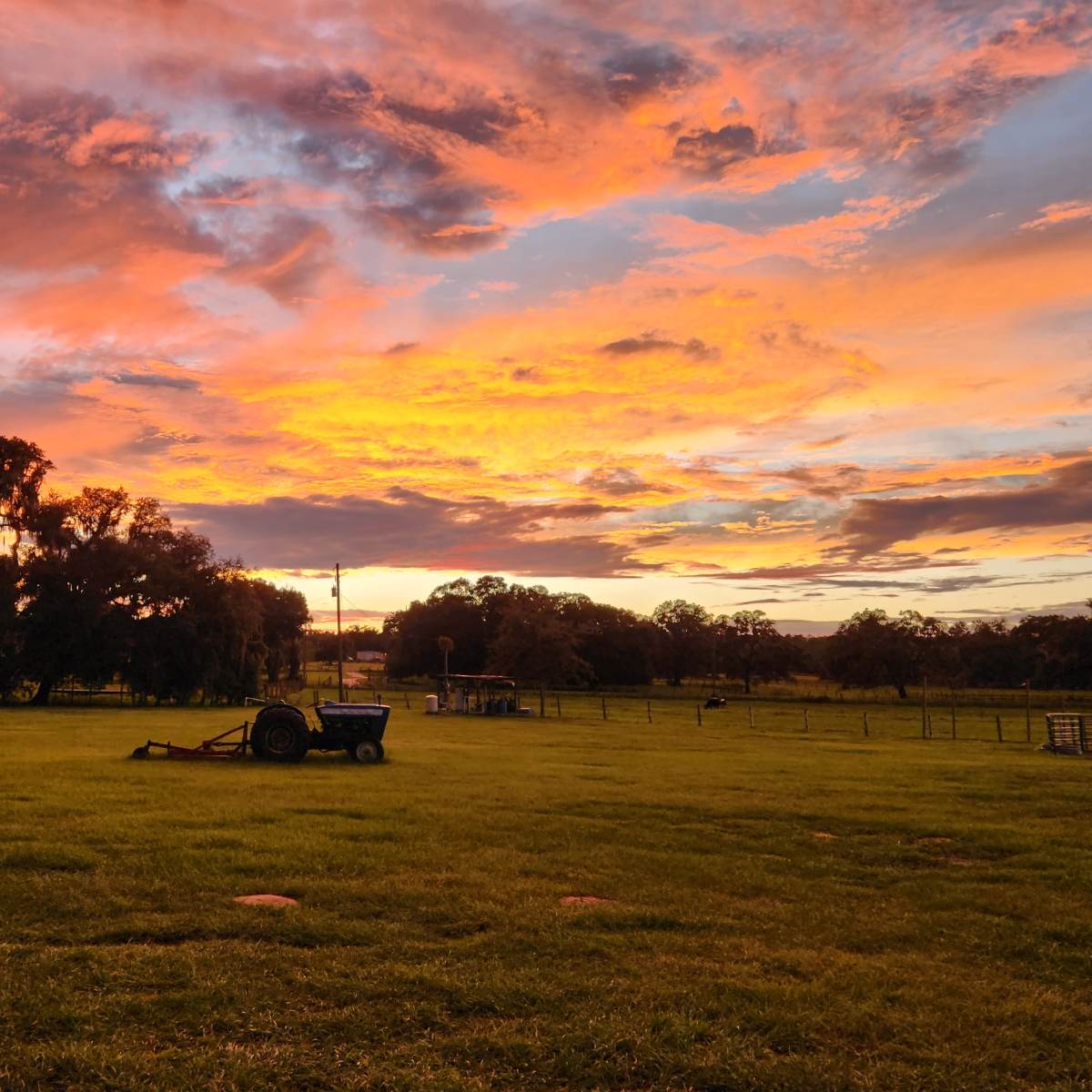 Barnhouse with Florida Sunset Views, Dade City, FL | Event | Peerspace