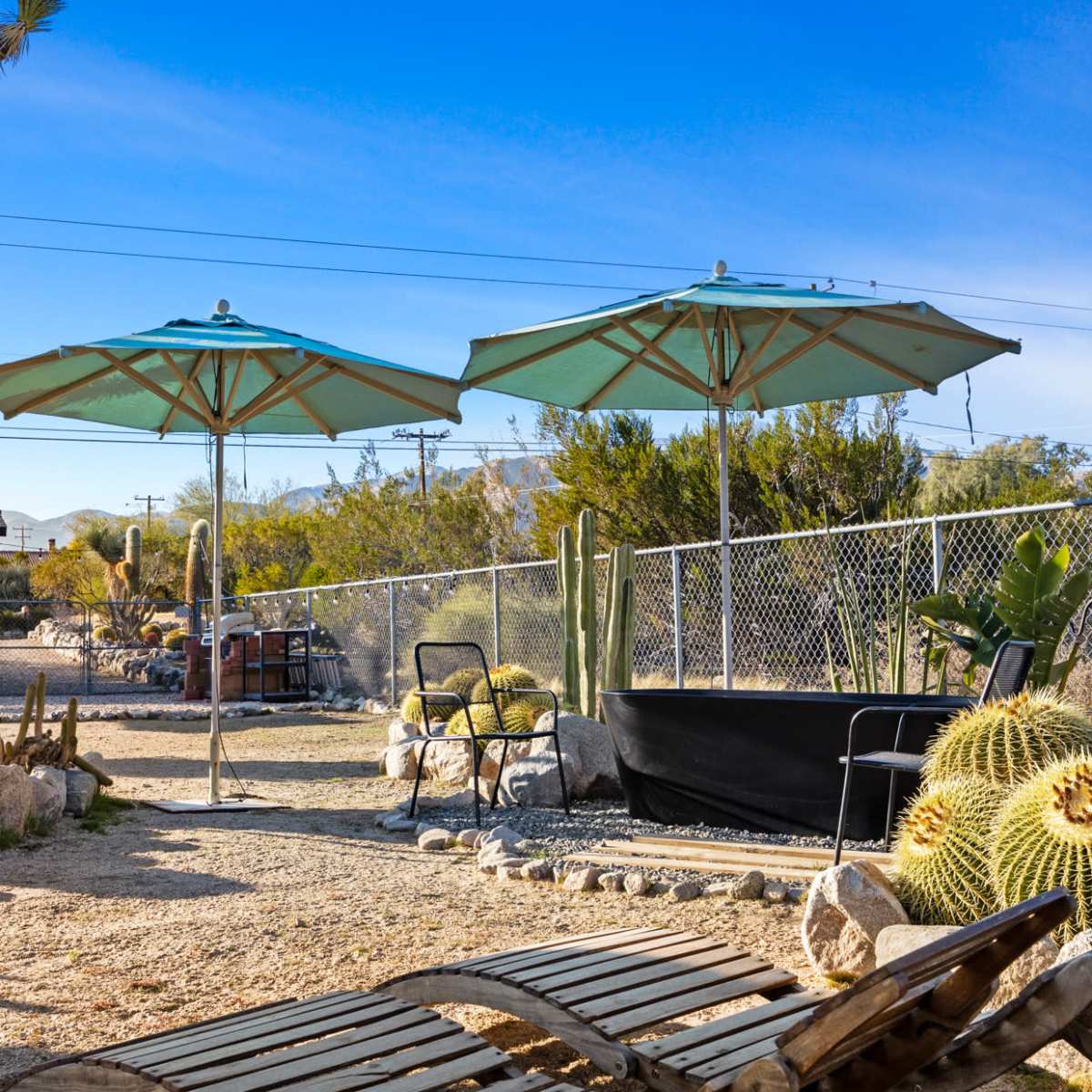 A desert home sitting in a cactus-filled botanical garden, MORONGO ...