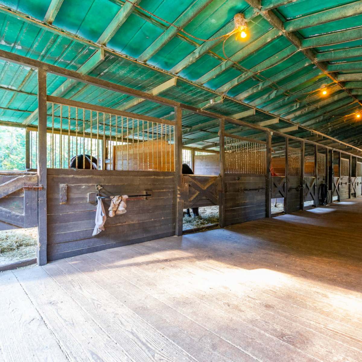 Rustic Rural Ranch Equestrian Facility For Shoots, Ellenwood, GA ...