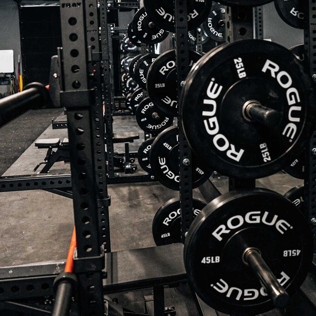 Private functional gym with perfect content lighting!, San Antonio, TX ...