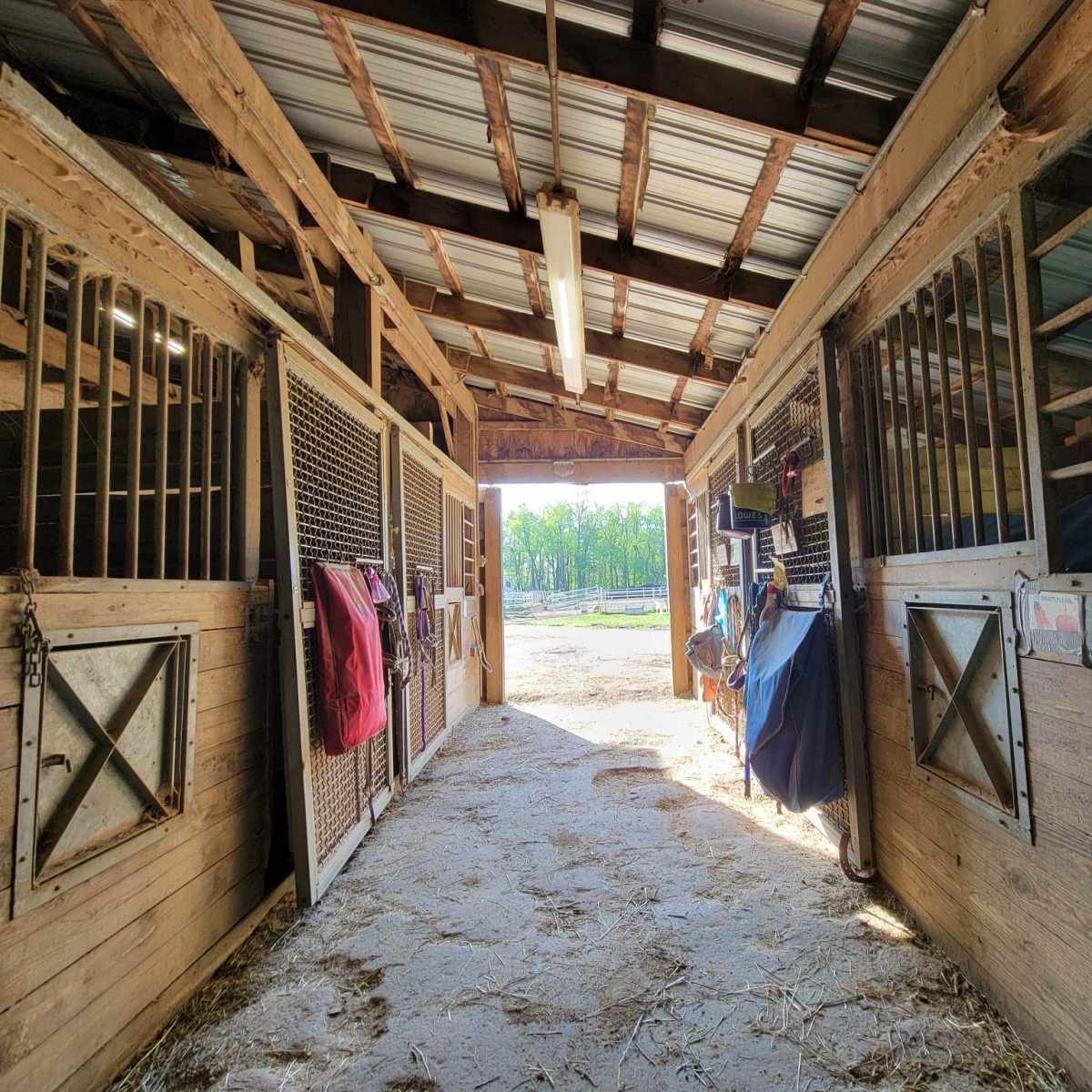 Rustic Suburban Horse Farm, South Park, PA | Production | Peerspace
