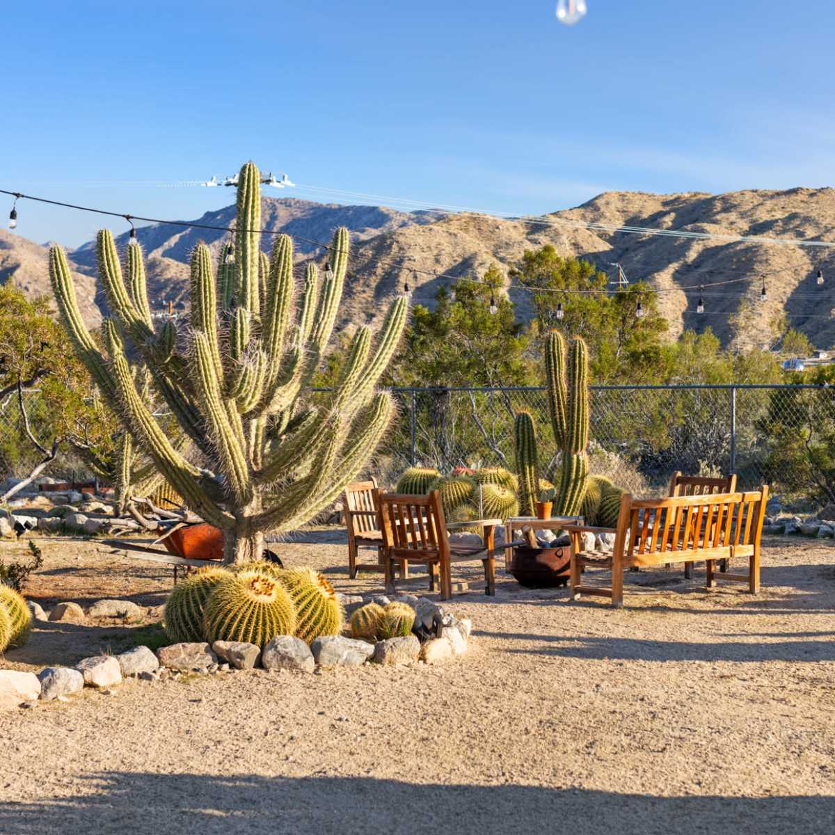 A desert home sitting in a cactus-filled botanical garden, MORONGO ...