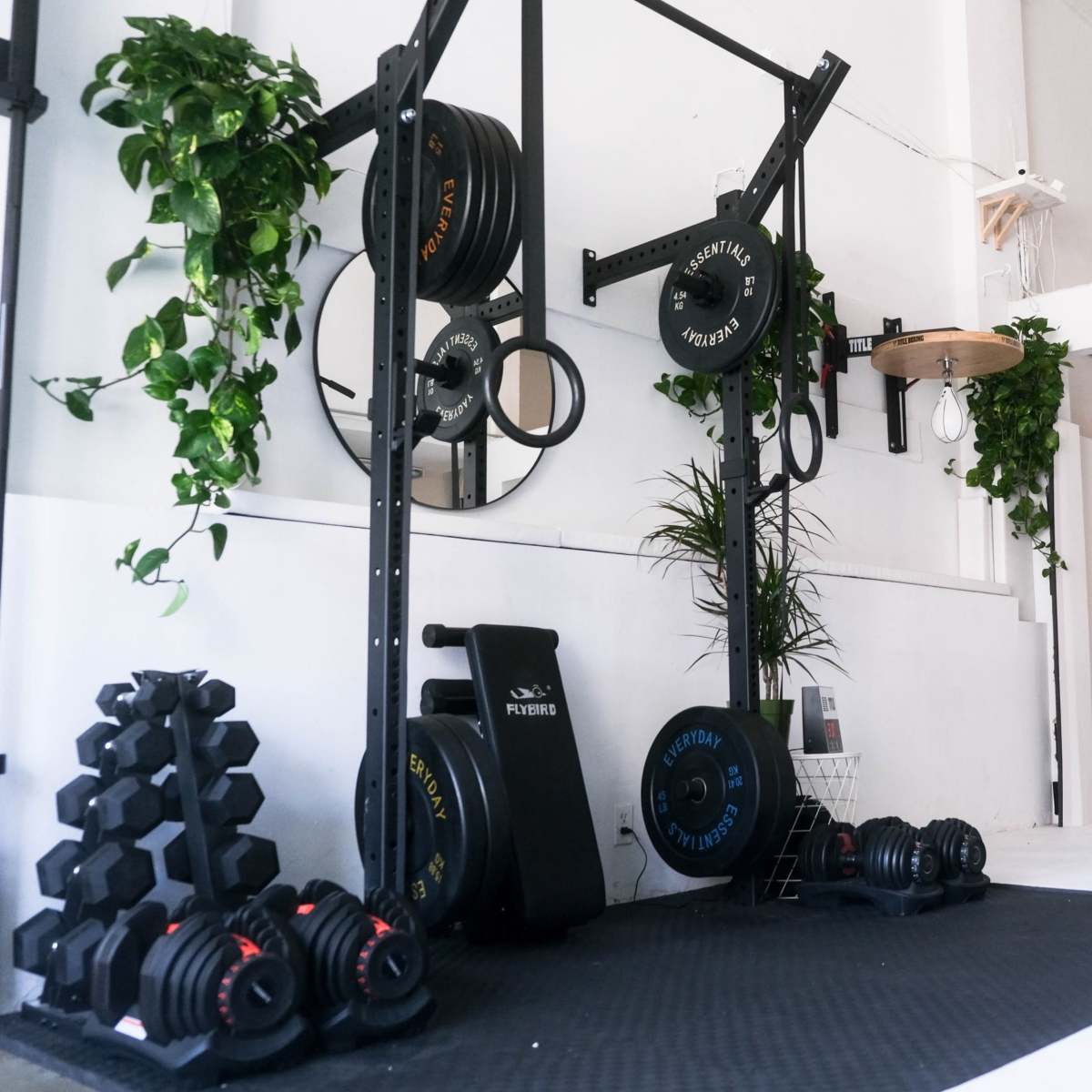 Aesthetic Gym for boxing, MMA, kickboxing, Crossfit and Jiu Jitsu., Los ...