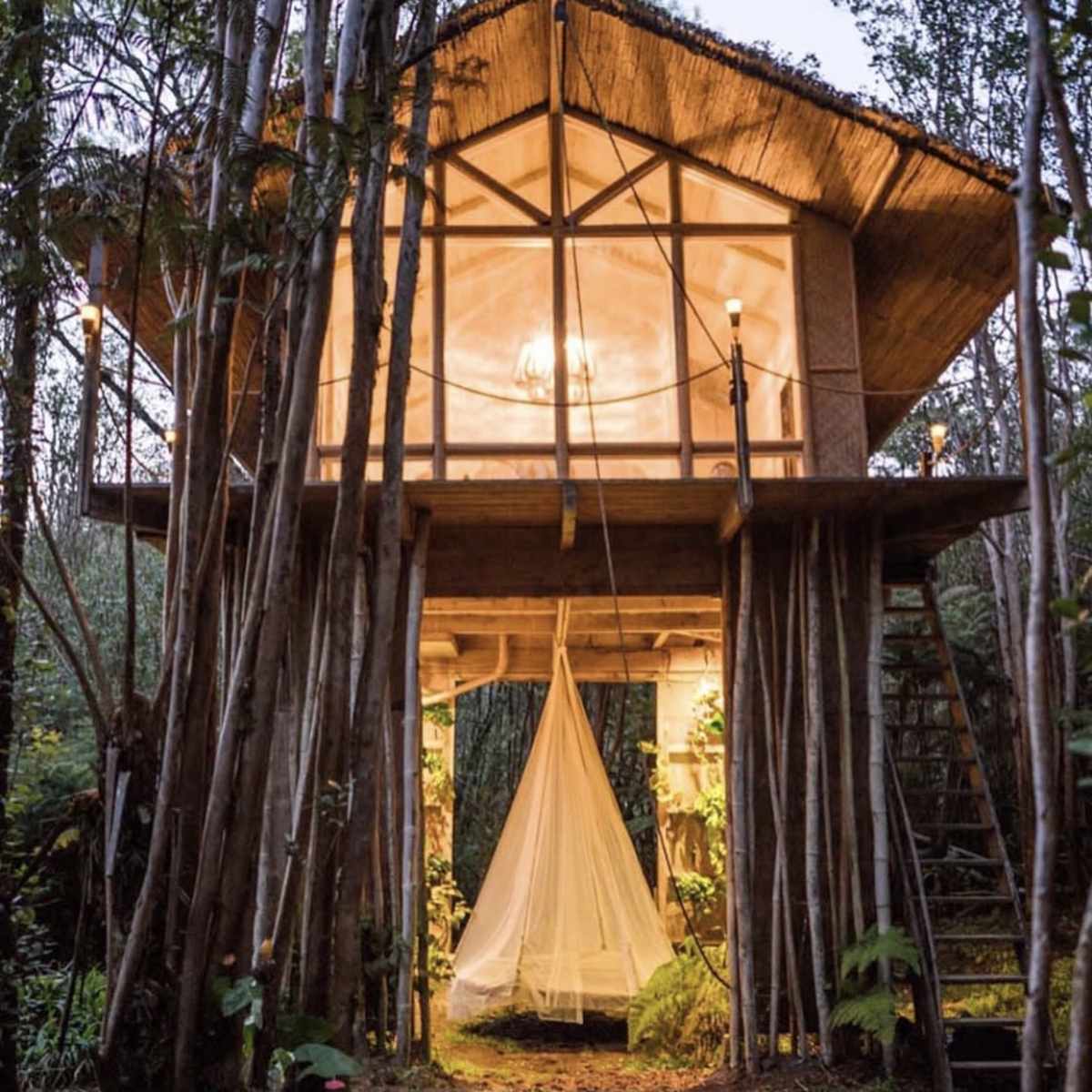 Dreamy Tropical Treehouse, Fern Forest, HI | Production | Peerspace