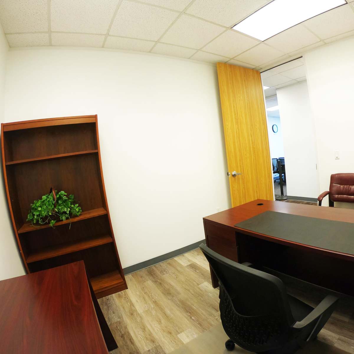 Private Executive Office Perfect for Headshot Photo Shoot near The ...
