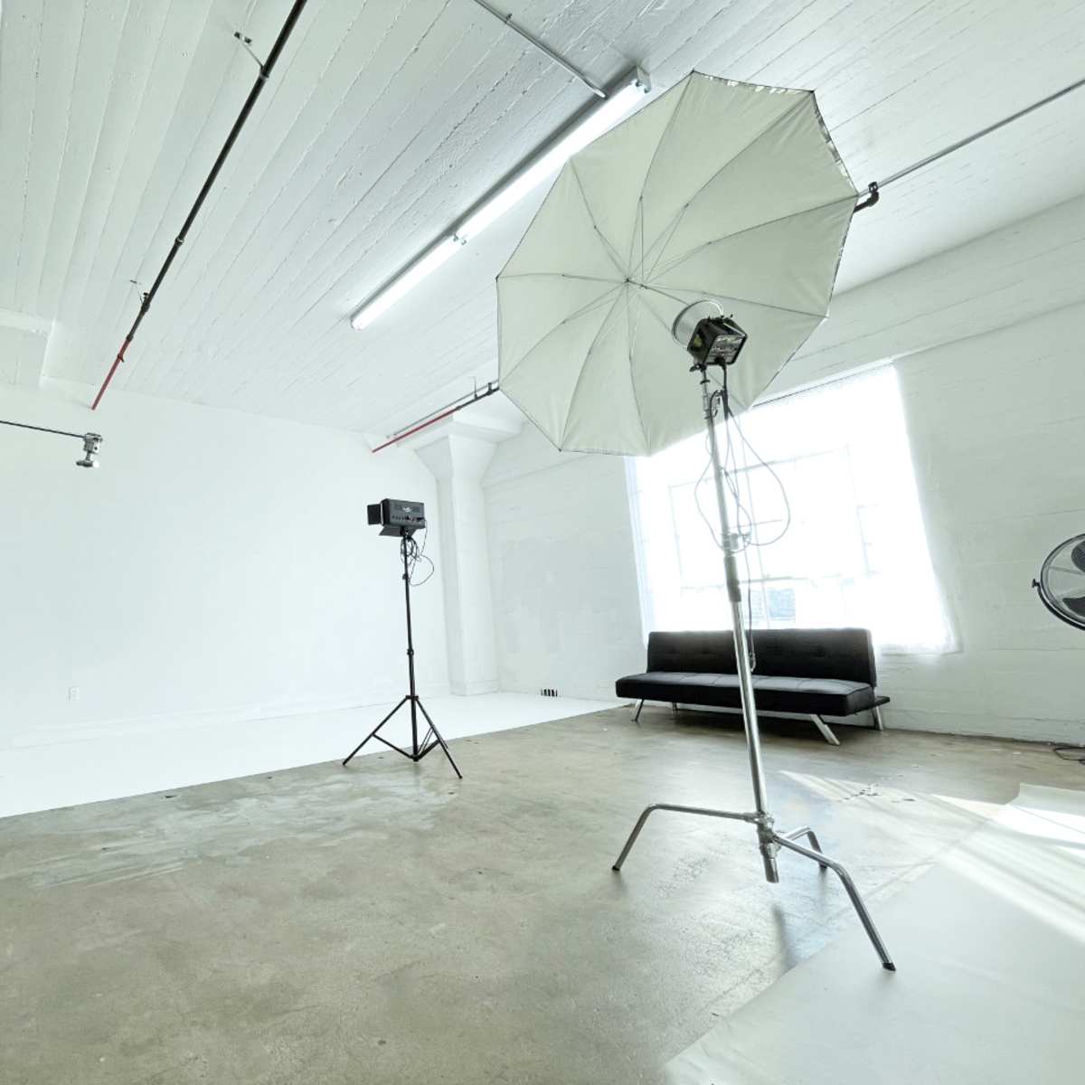 Large Professional Studio with Natural Light, Multiple Backgrounds and ...