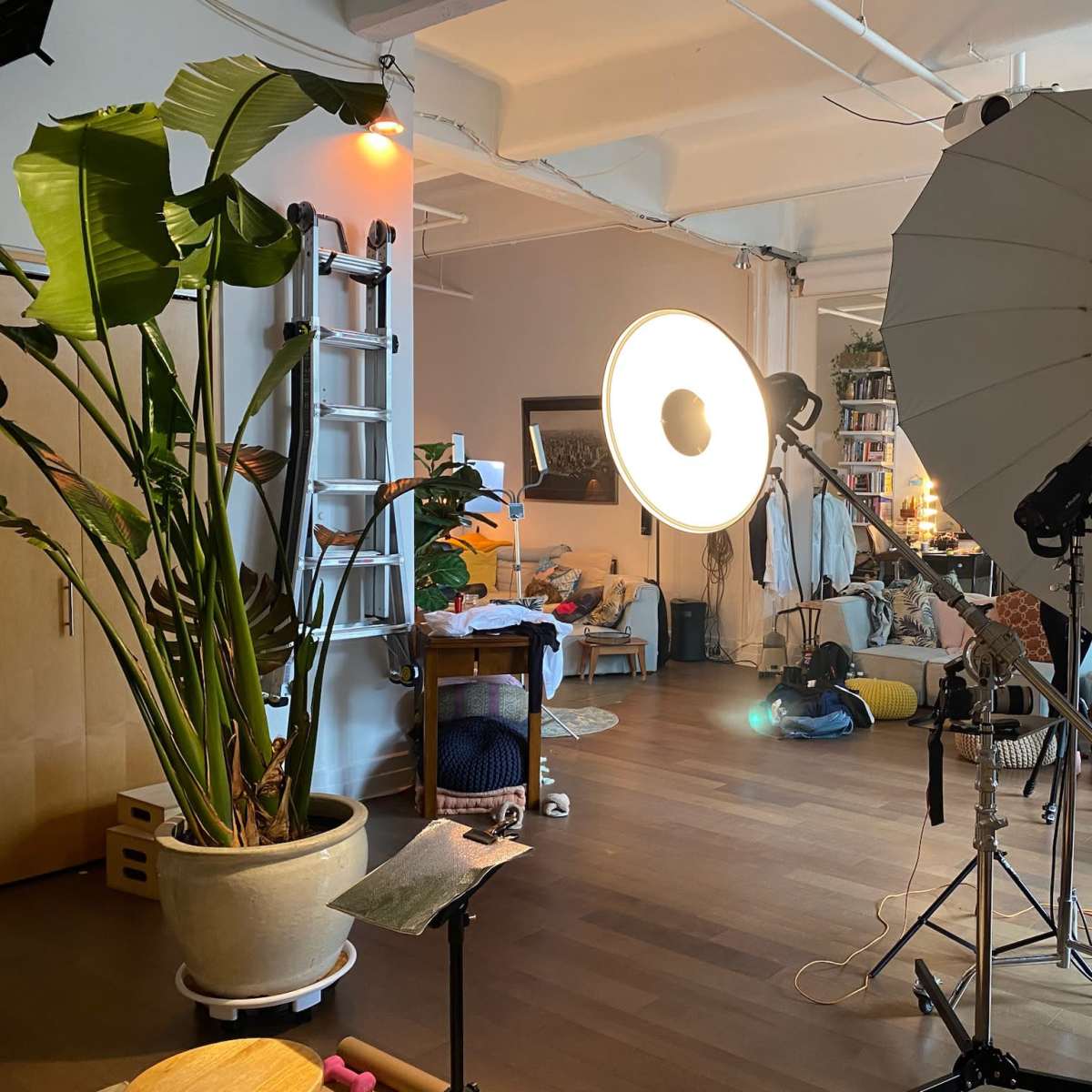 Jaqlin Medlock Photography | A Gem of a Photo Studio Like No Other Just ...