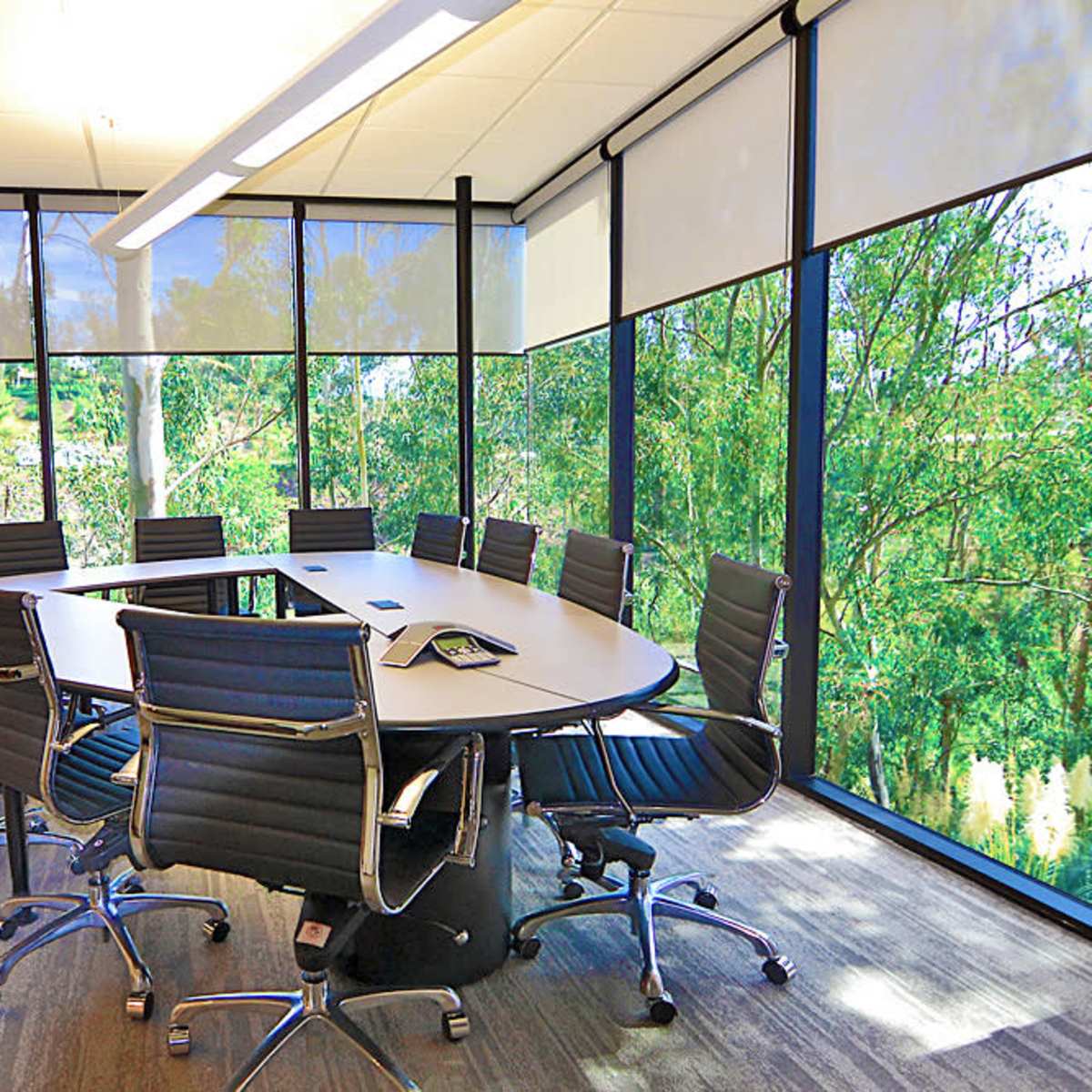 The "Treehouse" - Beautiful Conference Room surrounded by Eucalyptus ...