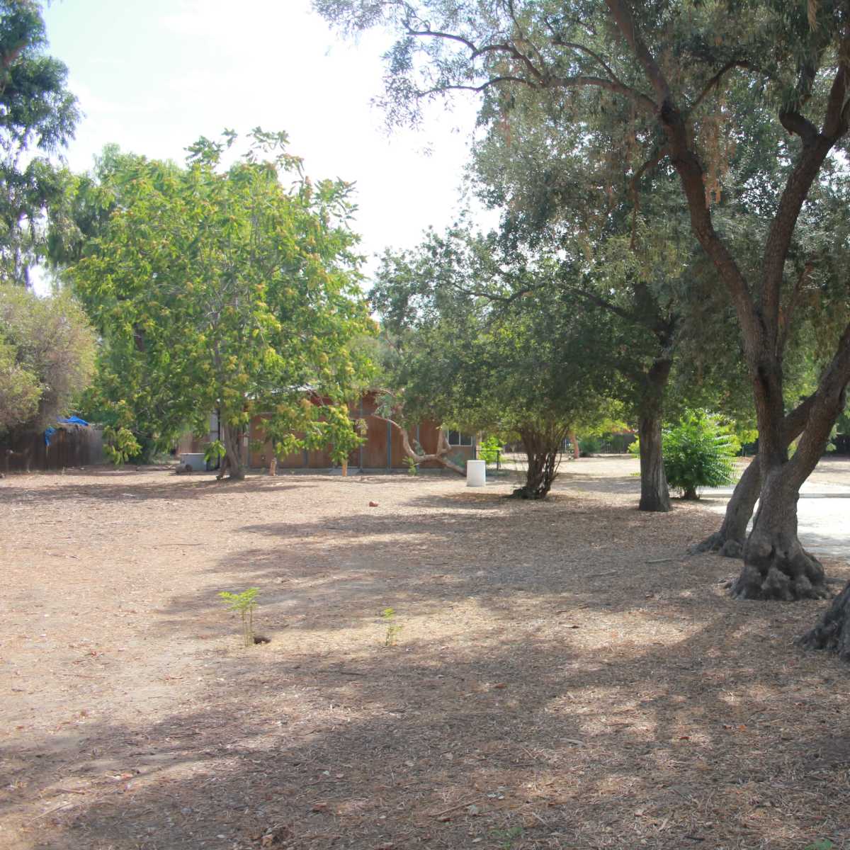Large 1.5 Acre Ranch with Barn in Los Angeles, Los Angeles, CA ...