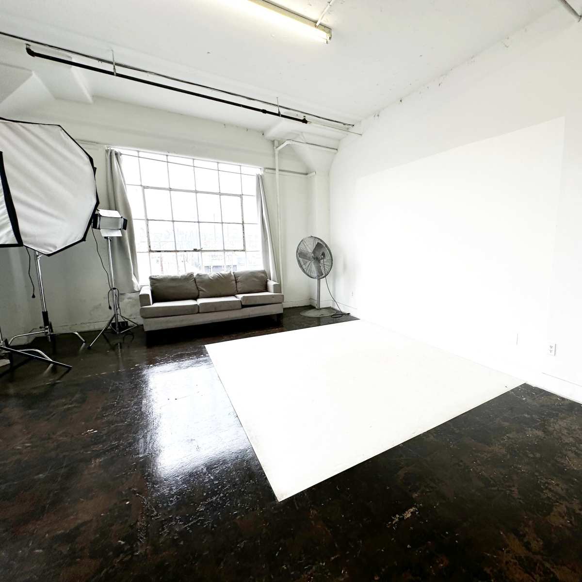 Large Professional Studio with Natural Light, Multiple Backgrounds and ...