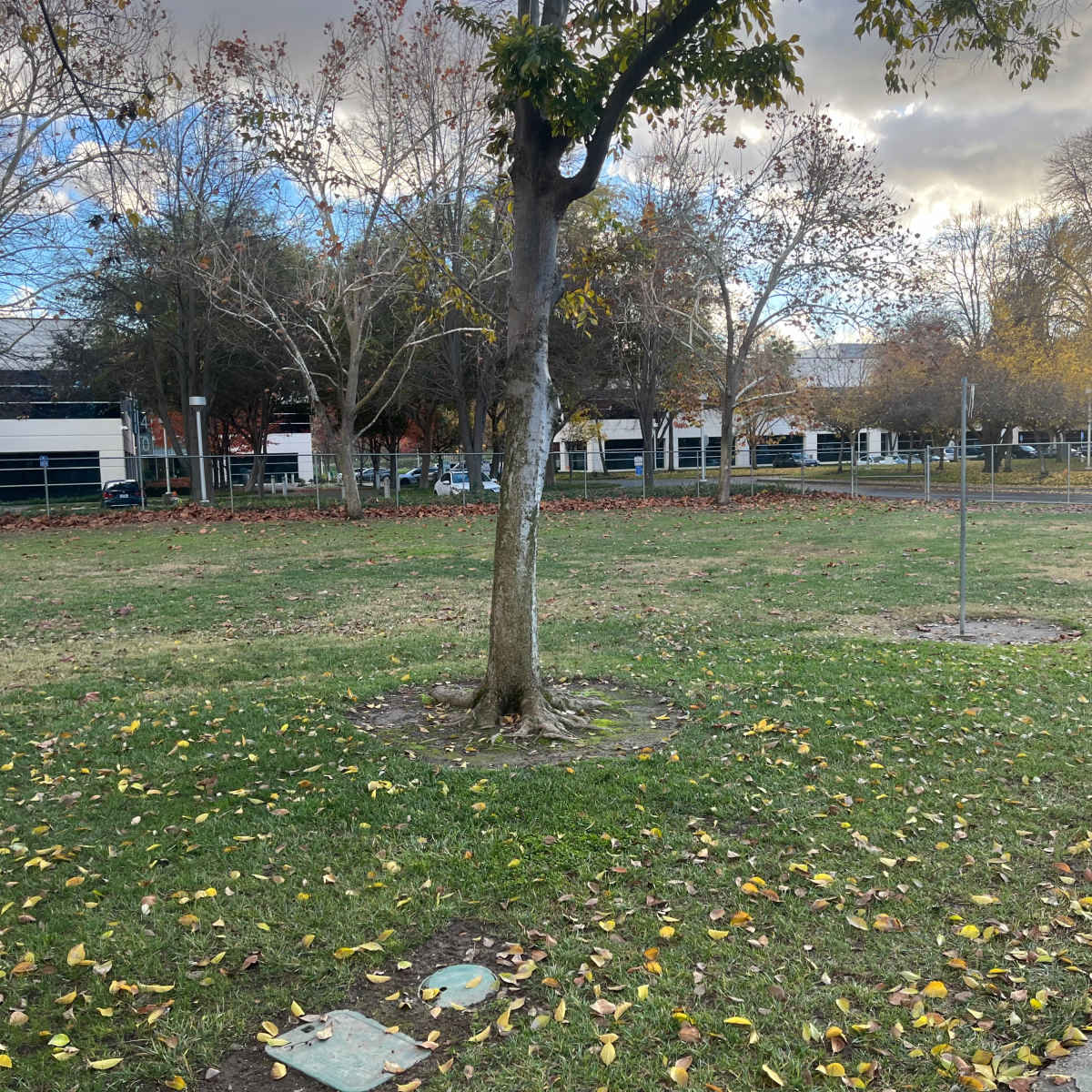 Spacious School Backyard for Family Events, Picnics, and Outdoor Fun ...