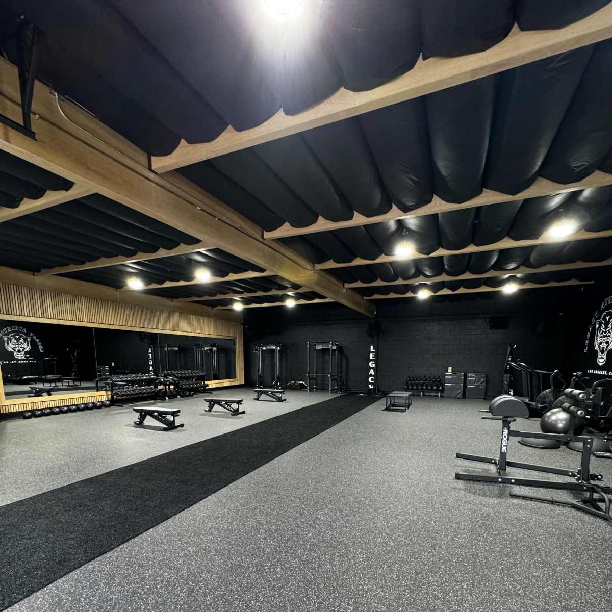 Ascetically pleasing gym with the perfect look for your content needs ...