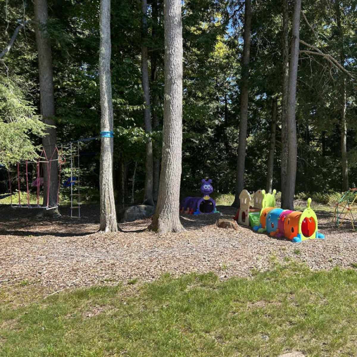 Rural wood area with privacy, recreation space and unique landscape ...