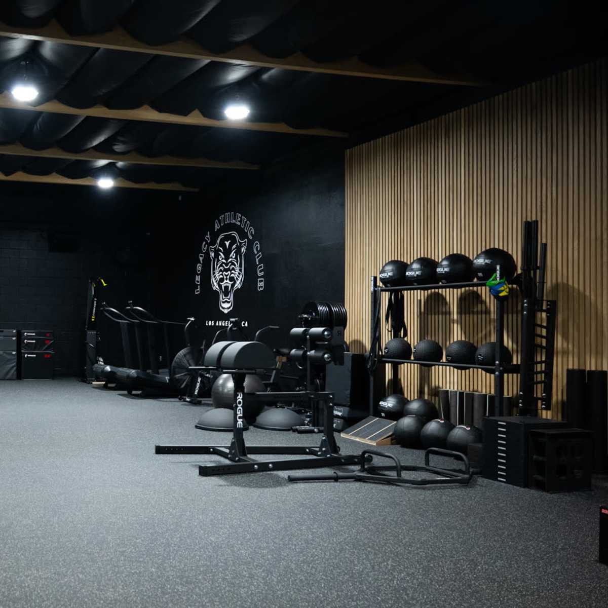 Ascetically pleasing gym with the perfect look for your content needs ...