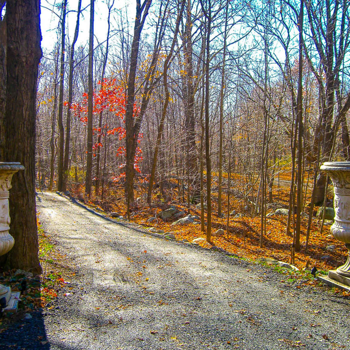 Rustic renovated CHALET at foothills of Shawangunks mountains, nestled ...