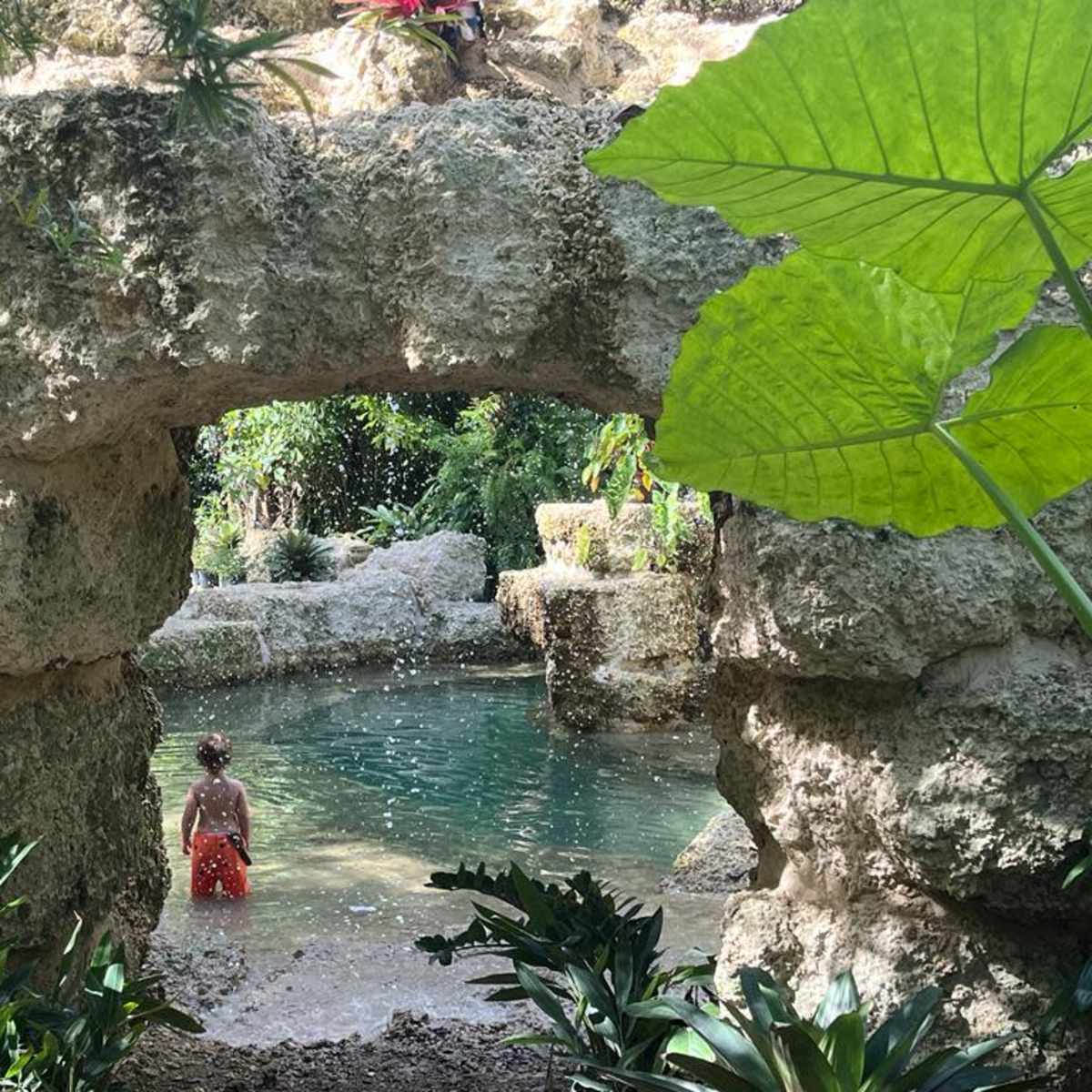 Tropical Paradise Lagoons Waterfall, beach area, coral rocks ...