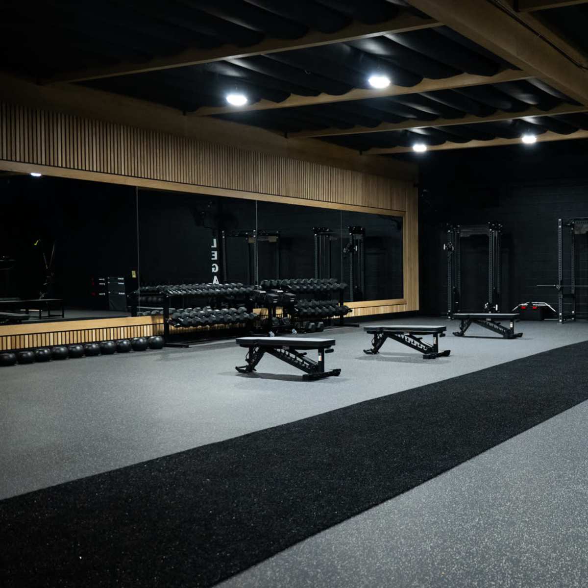 Ascetically pleasing gym with the perfect look for your content needs ...