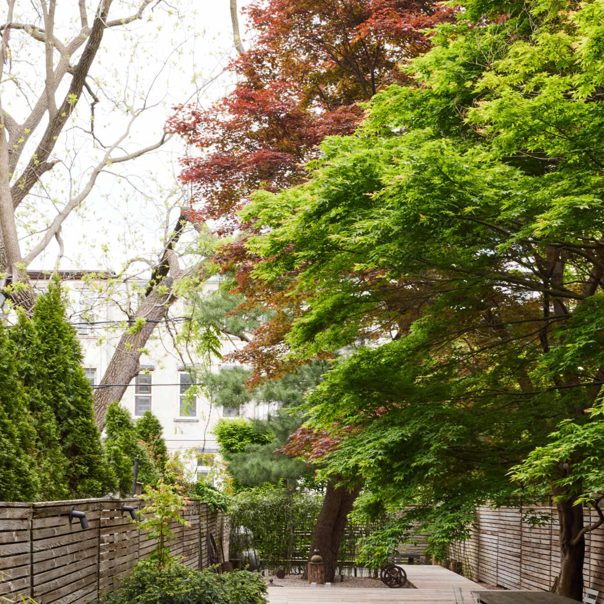 Sun-filled Brownstone in Prospect Heights, Brooklyn, NY | Off-Site ...