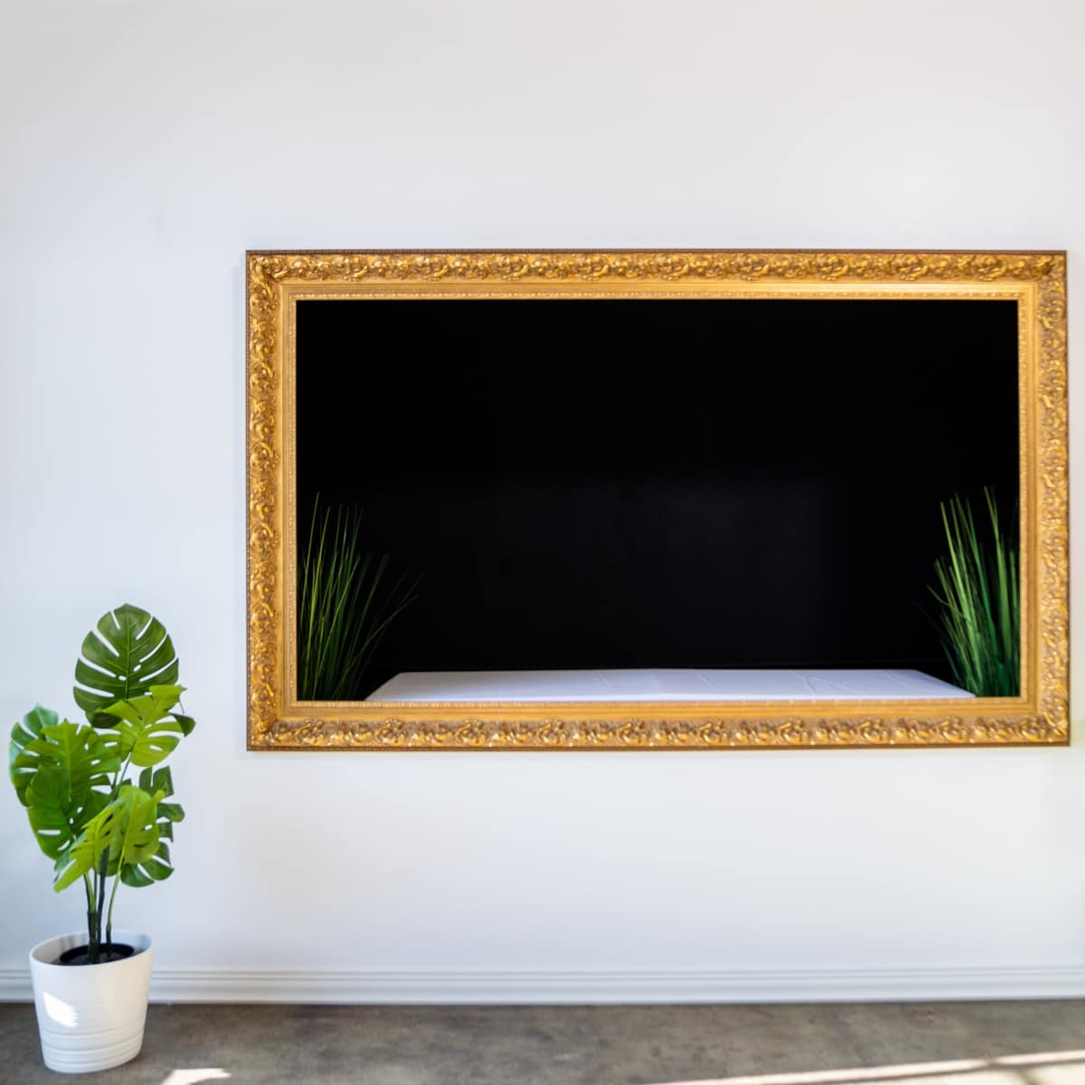 Large Unique Studio with Natural Light, Multiple Backdrops and Frame ...